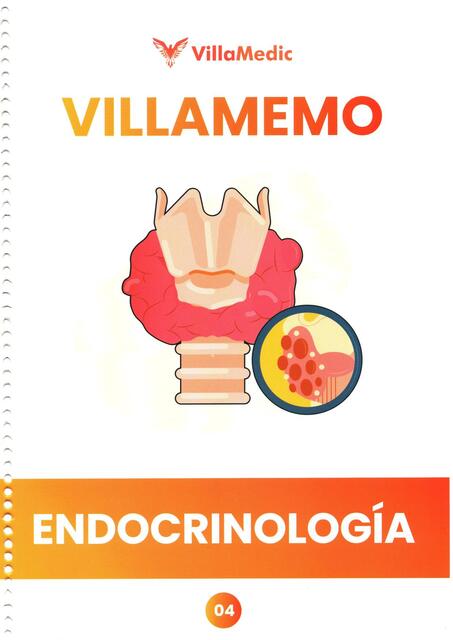 Flashcards de Endocrinología -VILLAMEDIC/25 | Por Mariam A. | uDocz