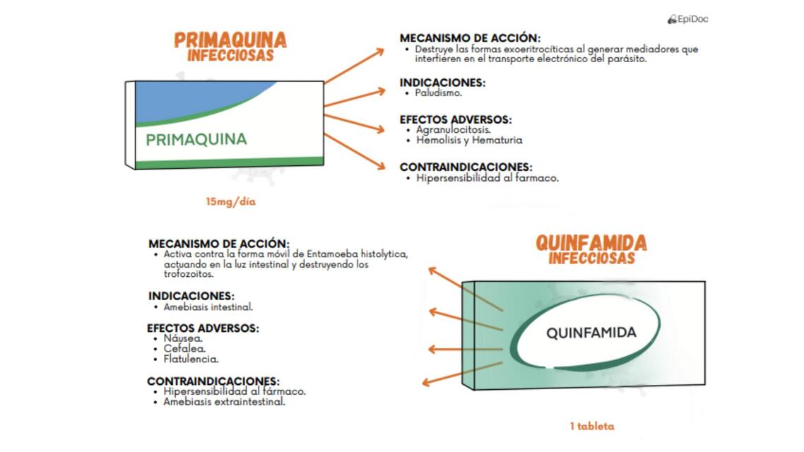 PRIMAQUINA Y QUINFAMIDA | Yoshira | uDocz
