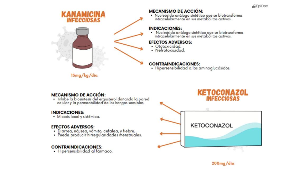 kanamicina y ketoconazol | Yoshira | uDocz