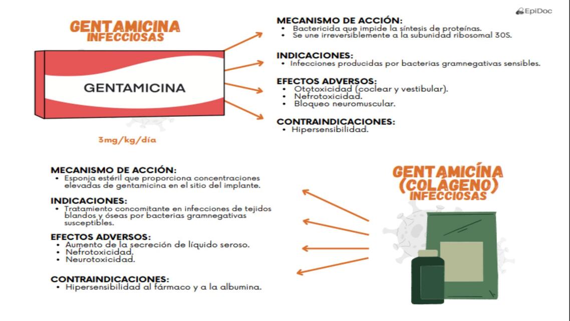 gentamicina | Yoshira | uDocz