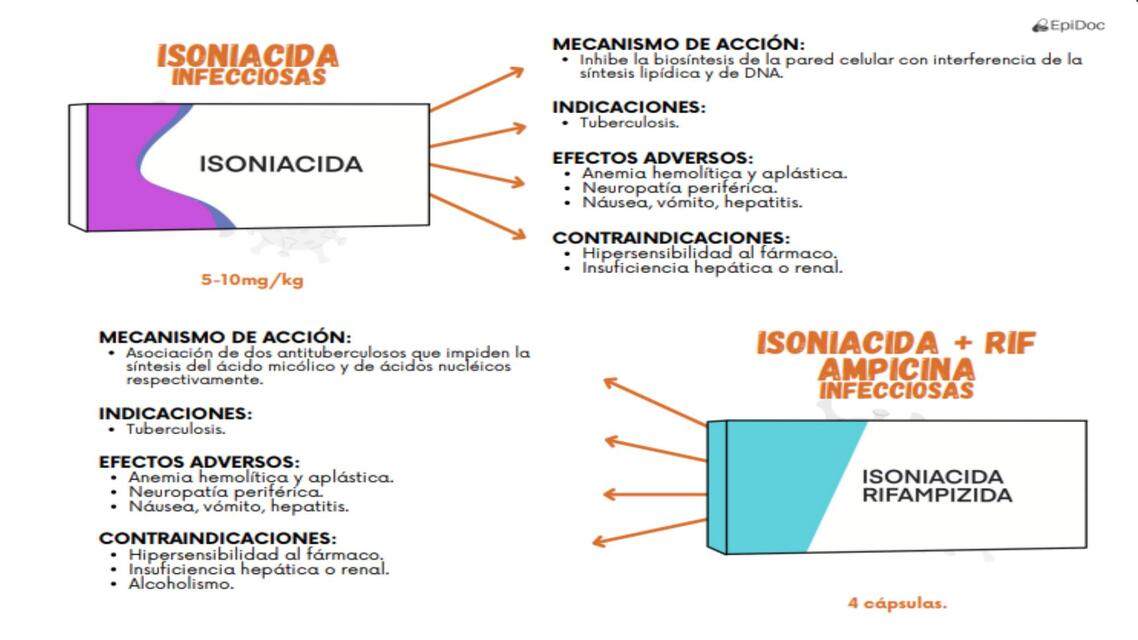 isoniacida rif | Yoshira | uDocz