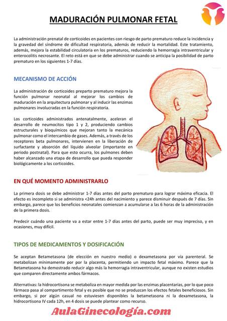 MADURACIOiN PULMONAR FETAL | Henyelver Alberto Silva Perez | uDocz