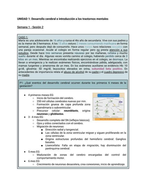 Guías resueltas - Cerebro y comportamiento | Jimena Elorriaga | uDocz