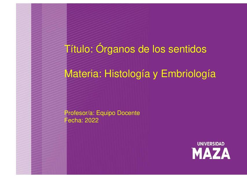 órganos de los sentidos ppt 1 | Sofi | uDocz