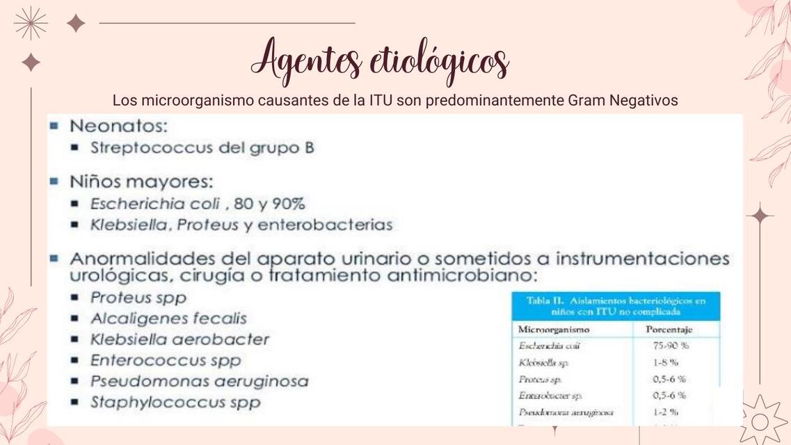 Agentes etiológicos de las ITU | Medicina Óptima | uDocz
