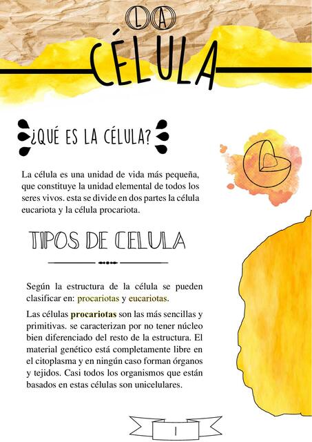 La célula | Florencia | uDocz