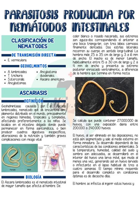 Parasitosis producida por nemátodos intestinales | Antonella ...