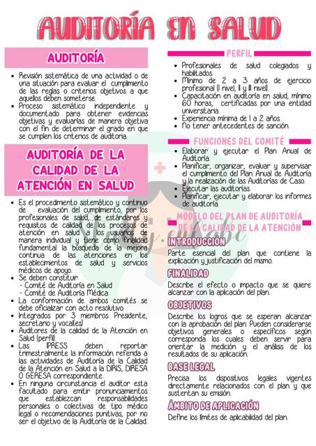 Auditoría en Salud | Antonella Rivadeneyra Ramirez | uDocz