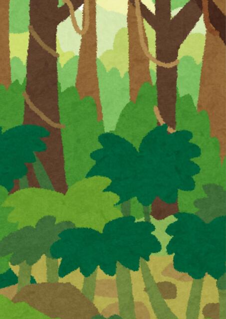 Reinos - imagenes | Sofia | uDocz