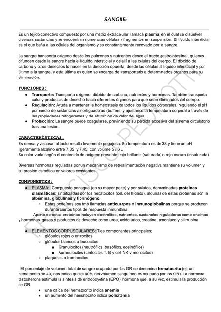 SANGRE -- FISIOLOGIA | Francisco | uDocz