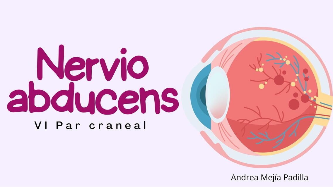 Nervio abducens VI | Andy Mejia | uDocz