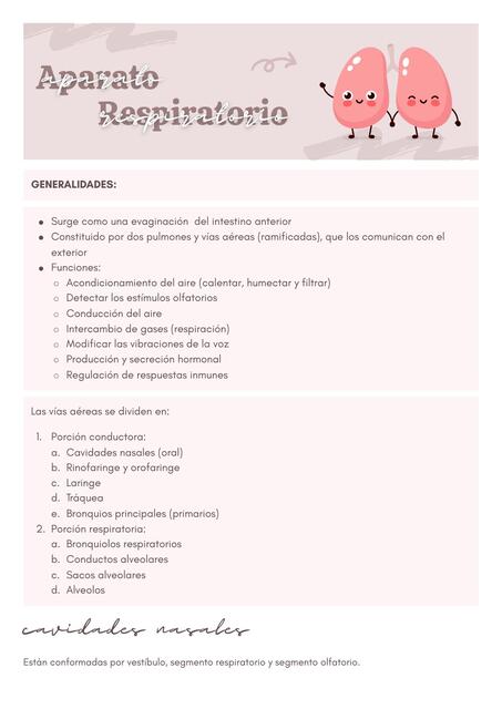 aparato respiratorio histo pdf | Génesis Sofía | uDocz