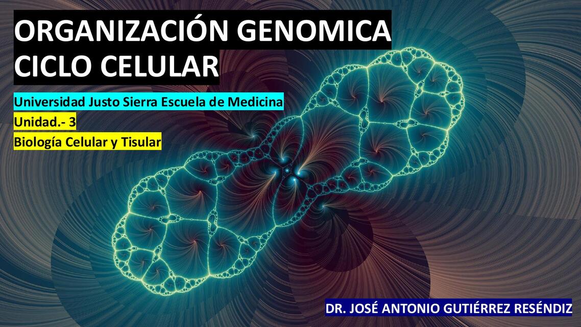 CICLO CELULAR | Claudia Lizeth Castellanos Rivera | uDocz