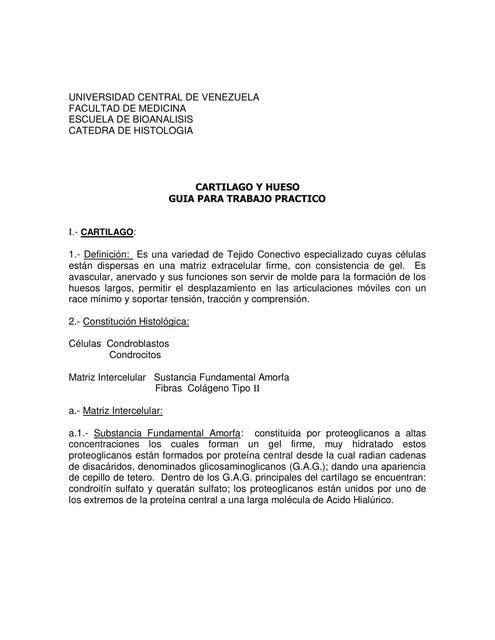 Guía de Cartilago y Hueso | mariangel lucia yanez | uDocz