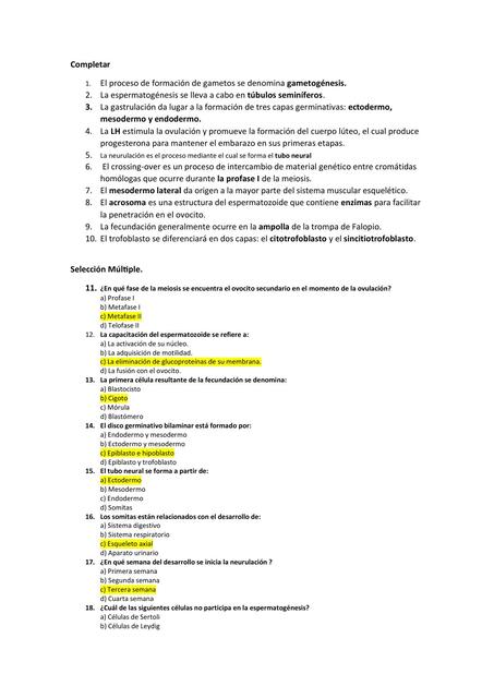 Morfo preguntas | Génesis | uDocz