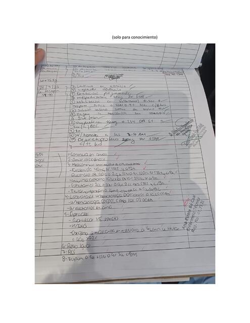 jen | Elnatan Xol | uDocz