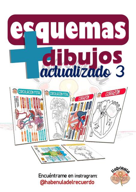 MODULO ESQUEMAS 3 0 | Cero | uDocz