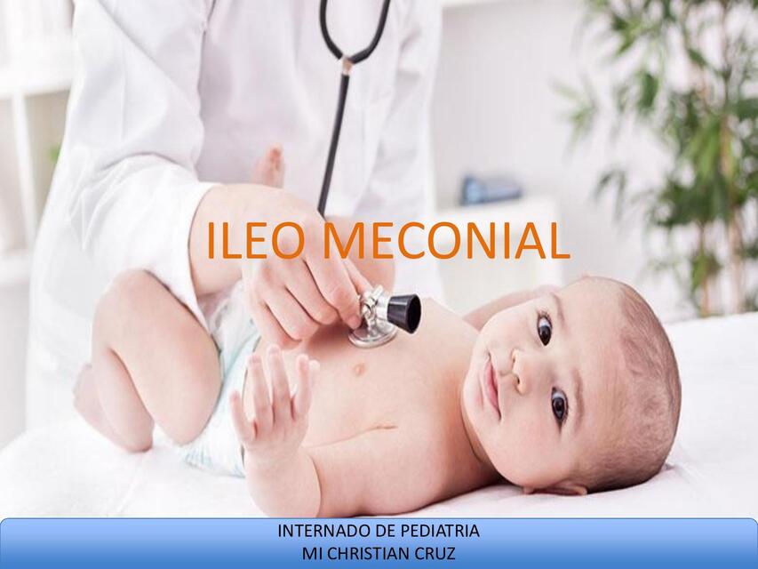 Ileo Meconial Internado | Christian | uDocz