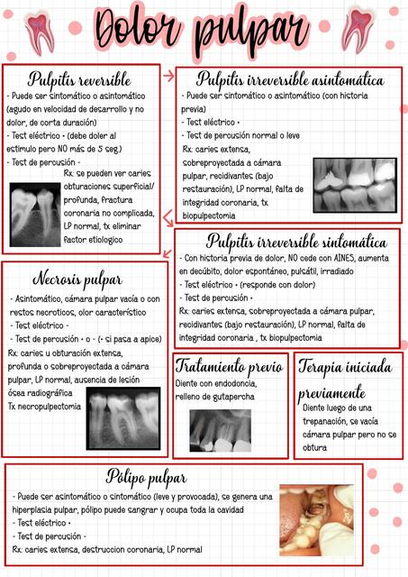 Dolor pulpar y patología periapical | Belen Rojas | uDocz