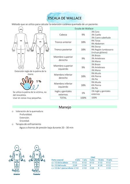 ESCALA DE WALLACE | consuelo | uDocz