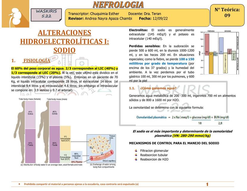 ALTERACIONES HIDROELECTROLITICAS I | Lily | uDocz