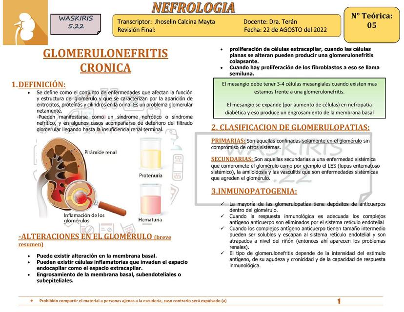 GLOMERULONEFRITIS CRONICA | Lily | uDocz