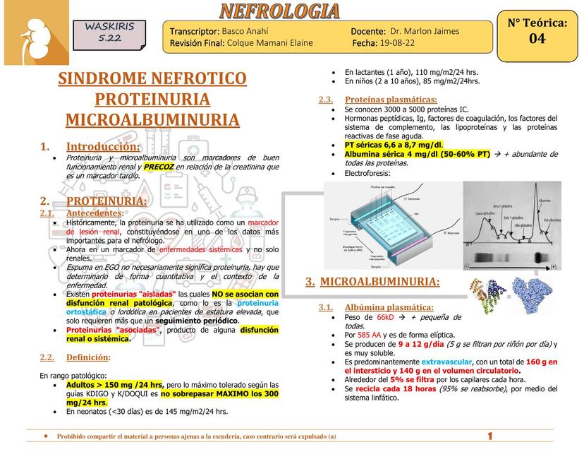 SINDROME NEFROTICO | Lily | uDocz