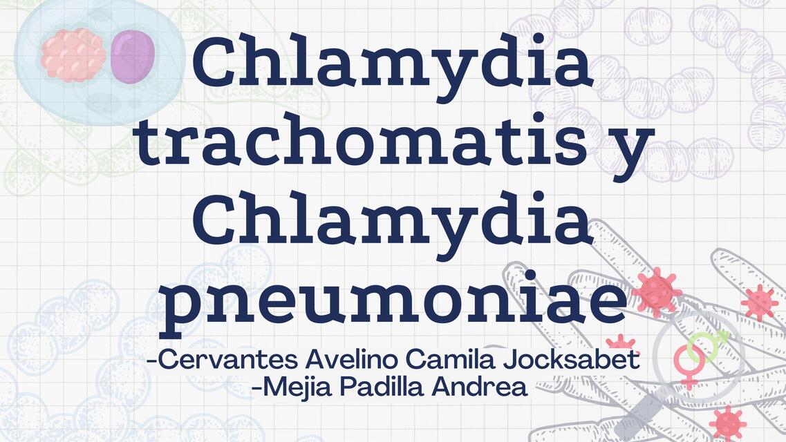 Chlamydias | Andy Mejia | uDocz