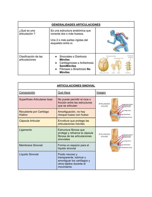 Generalidades Articulaciones | Tomas | uDocz