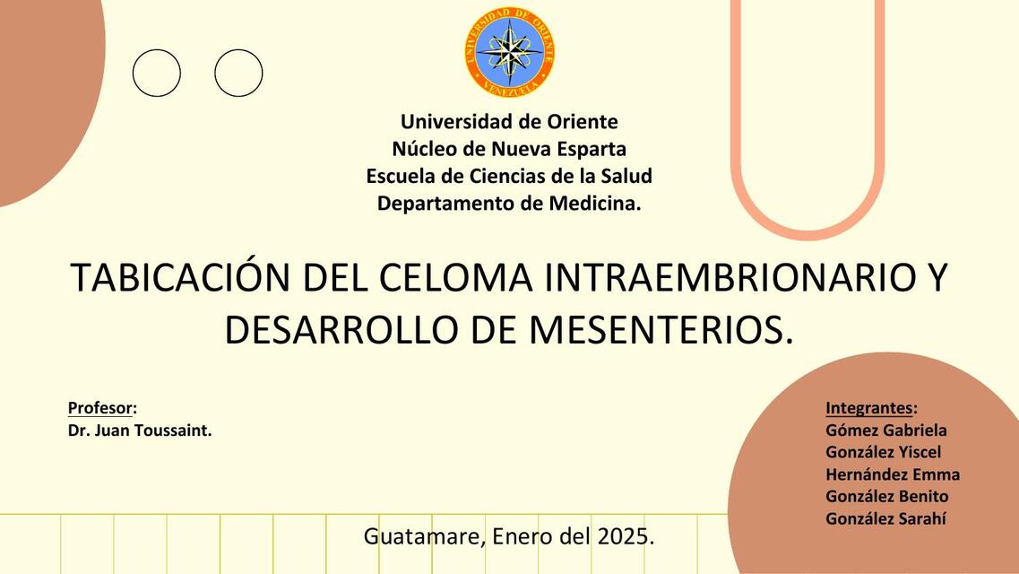 Tabicación del celoma intraembrionario y desarroll | Nieuscarin | uDocz