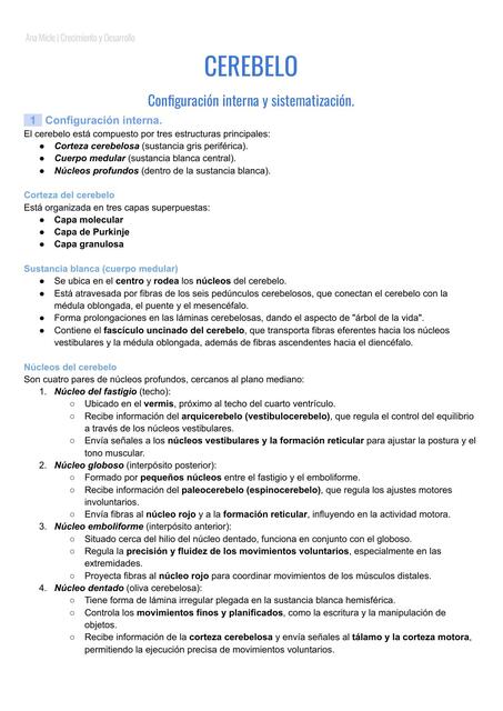 CEREBELO: configuración interna y sistematización | Ana | uDocz