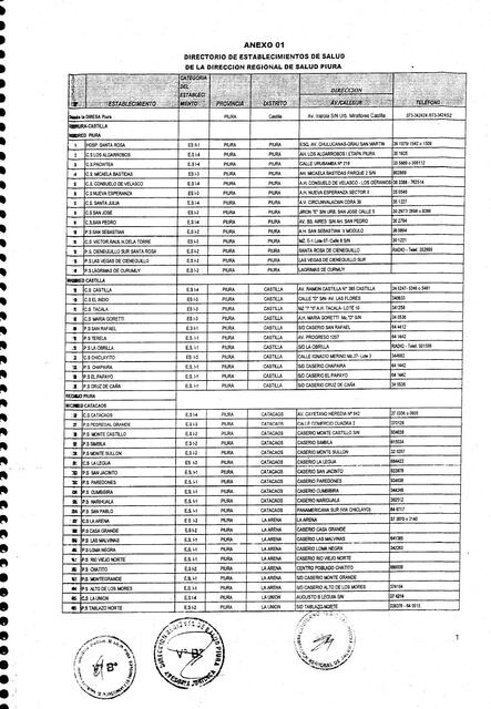CENTROS DE ESTABLECIMIENTO DE SALUD DE LA REGIÓN D | Luis Fernando | uDocz