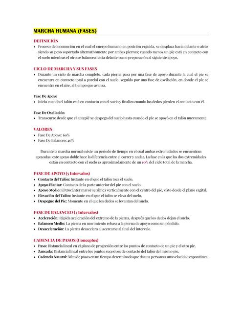 Fases de la marcha humana | Physio Studies | uDocz