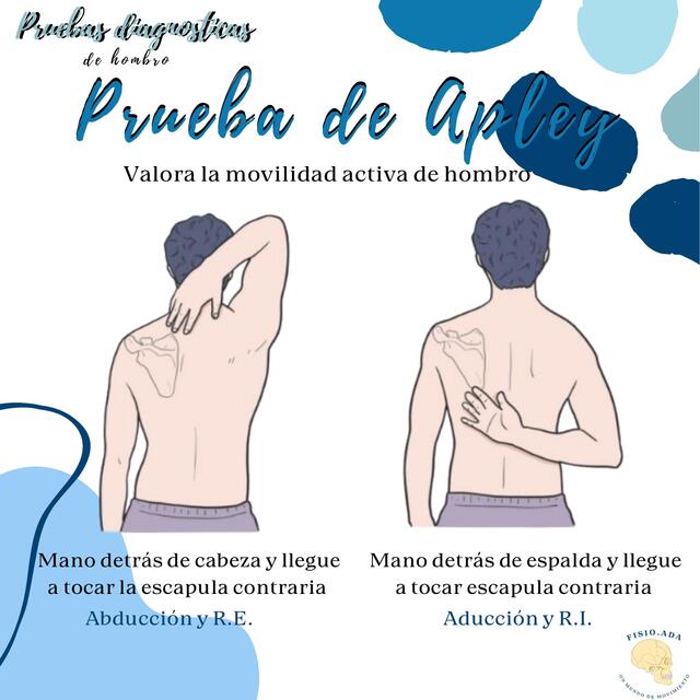 Prueba de Apley | Fisio.Ada | uDocz