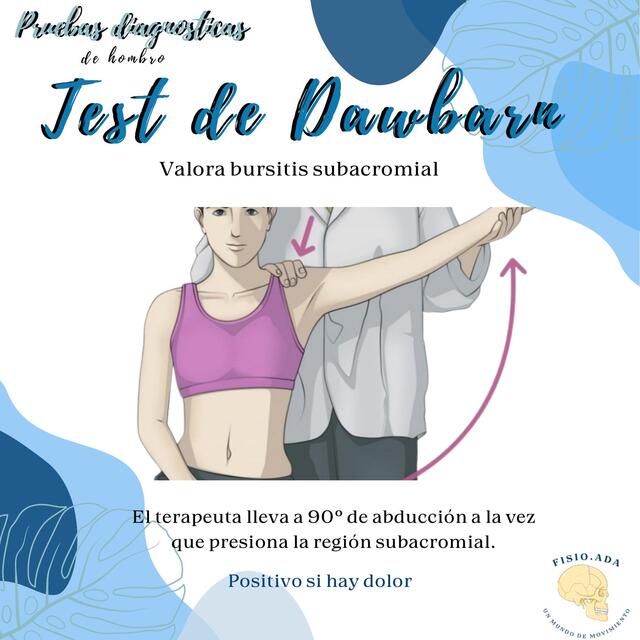 Test de Dawbarn | Fisio.Ada | uDocz