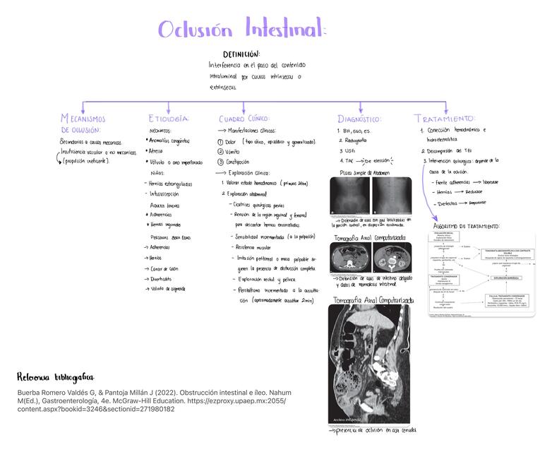 OCLUSIÓN INTESTINAL | ANETTE LUNA | uDocz