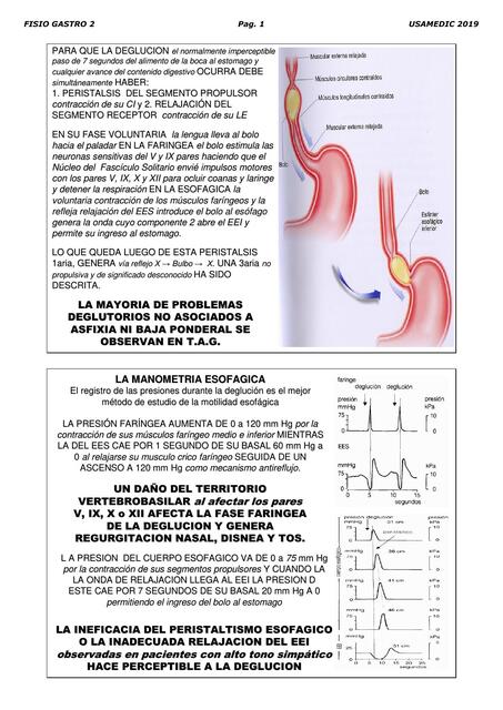 Fisio Gastro 2 | Karen | uDocz