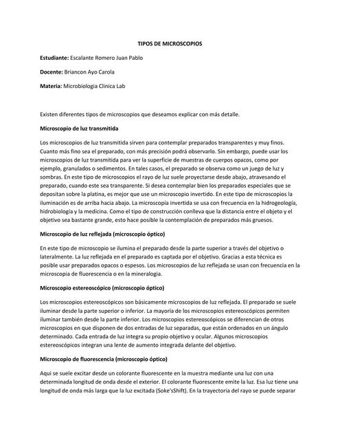 TIPOS DE MICROS WPS Office | Pablo | uDocz