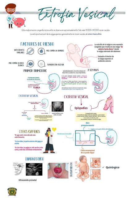 Extrofia Vesical ANA LILIA VALLE | Ana Lilia Valle | uDocz