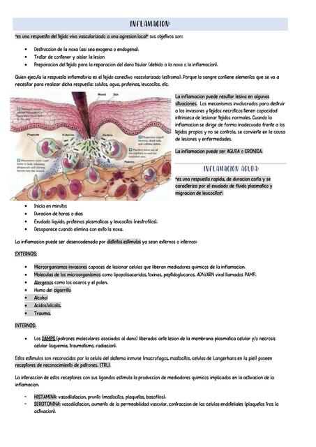 inflamacion | vicky Ceballos | uDocz
