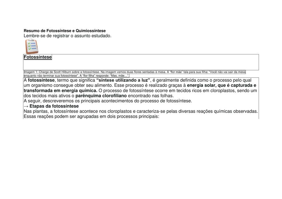 Resumo de Fotossíntese e Quimiossíntese | Intacua Intacua | uDocz