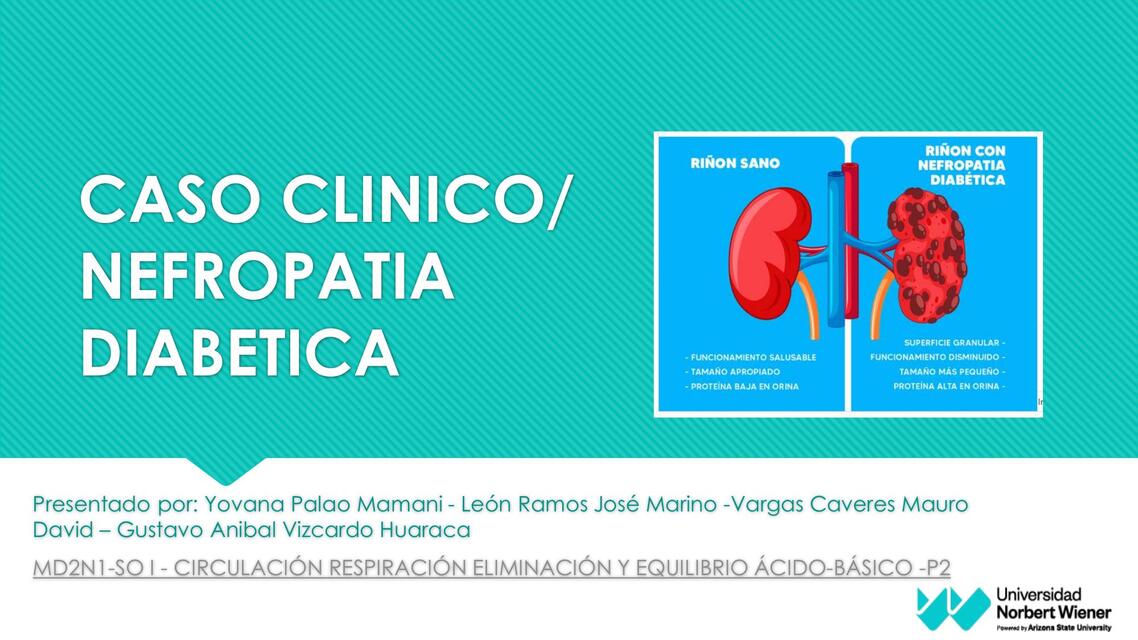 Nefropatía diabética | Yovy | uDocz