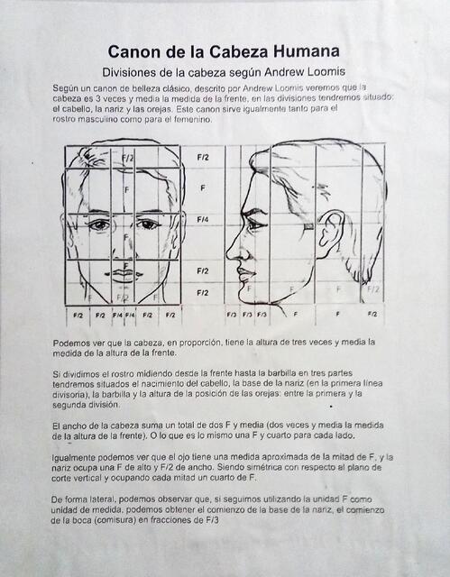 Dibujo: Divisiones de la cabeza según Andrew Loomis | Annette Journal ...
