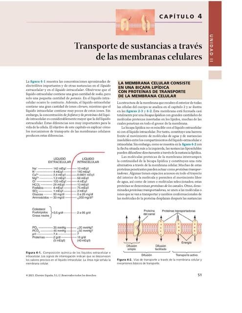 1c2 Tratado de Fisiologia Medica 14 ed Guyton Hall | rishard | uDocz