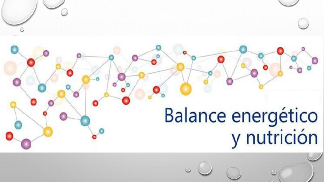 3 BALANCE ENERGÉTICO Y NUTRICIÓN | Emily Rivera | uDocz