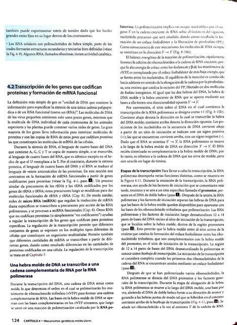 Biología celular y molecular Lodish 7ma Ed 151 158 | Emily Rivera | uDocz