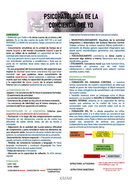 3 1 Psicopatología de la Conciencia del Yo | Metotrexato.post | uDocz