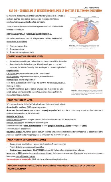 CAP 56 FISIO | Fabio | uDocz
