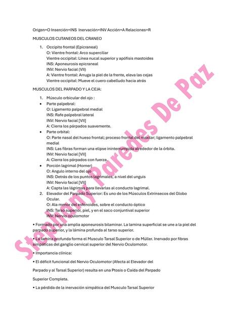 musculos de la mimica 2 | Stephany Paredes De Paz | uDocz