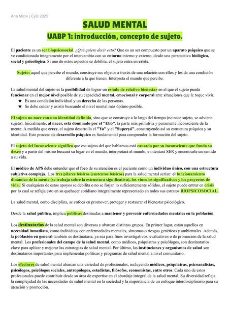 Salud Mental UABP 1 CyD | Ana | uDocz